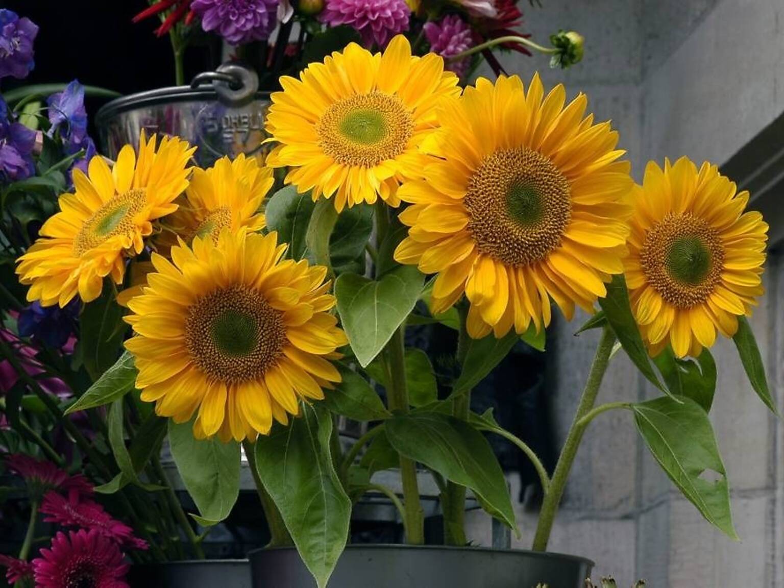 Best London Florists | 17 Fab Florists and Flower Shops in London