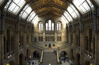 Top ten museum exhibitions in London – Museum exhibitions in London