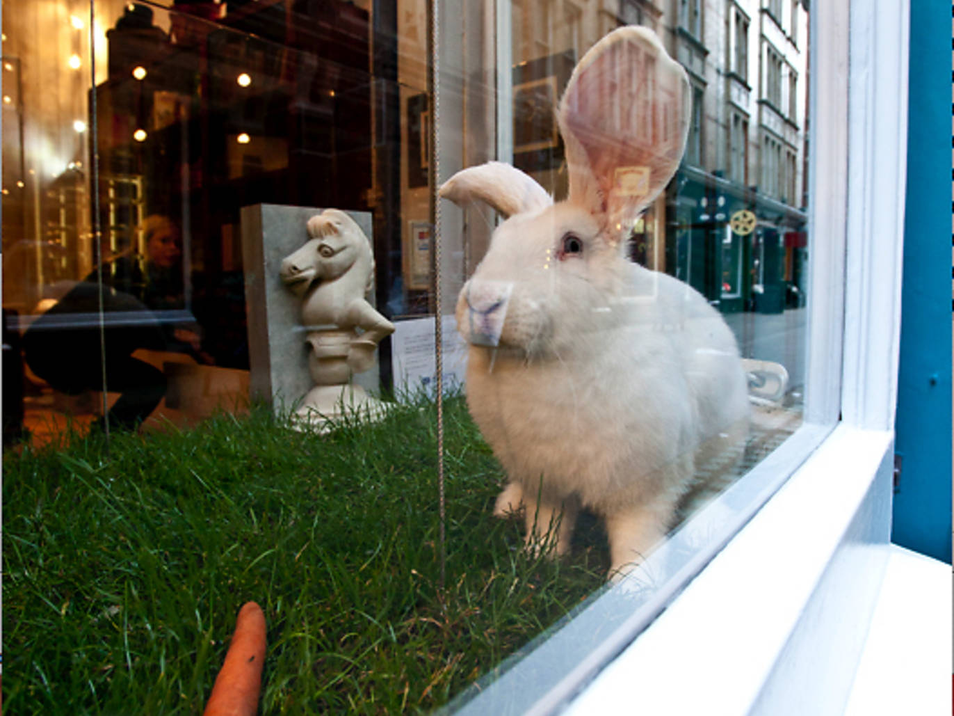 London's Most Unusual Specialist Shops | 17 Weird London Shops