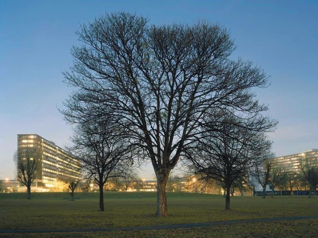 11 Amazing Local Parks in London, From Clissold Park To London Fields