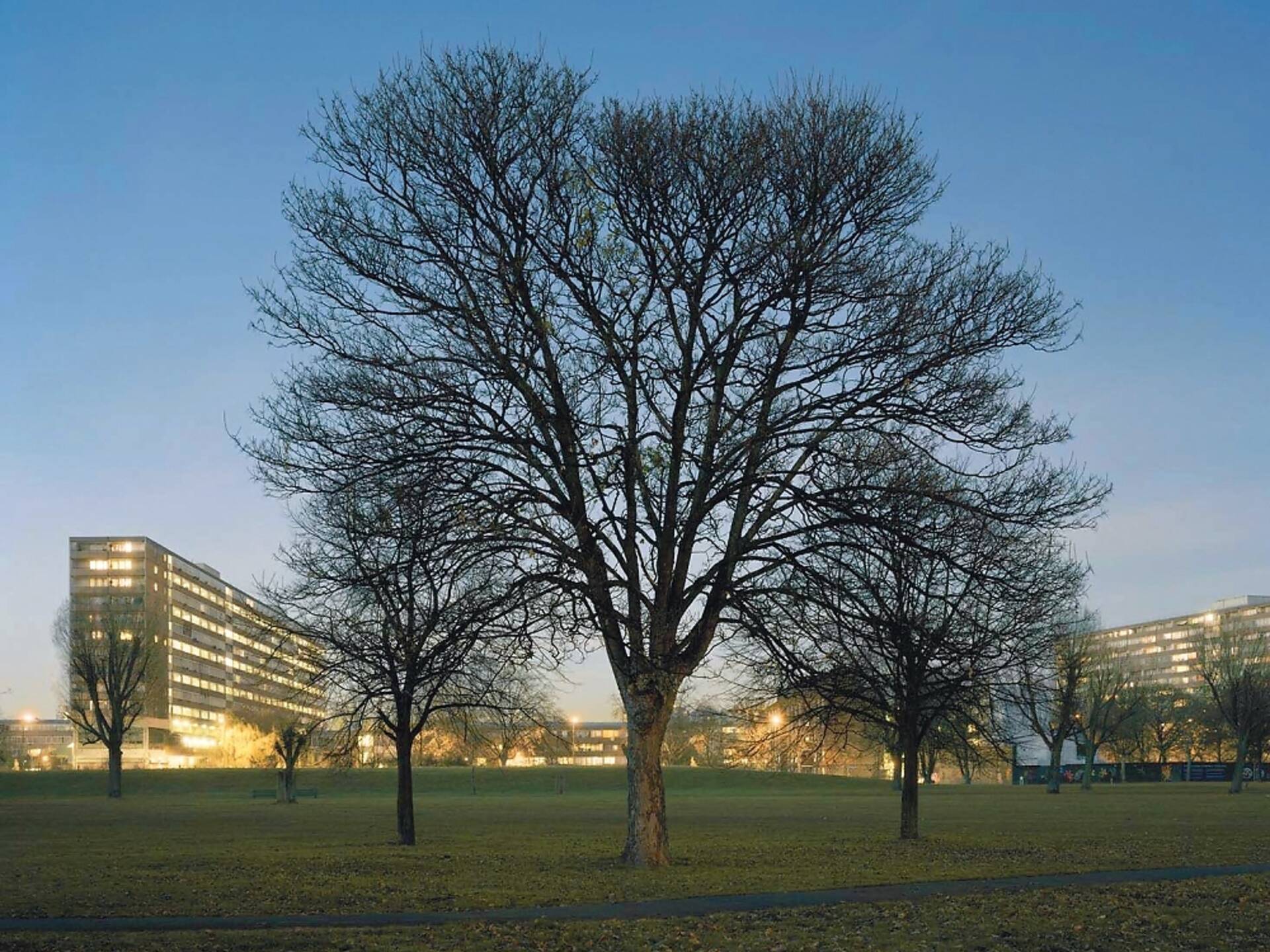 11 Amazing Local Parks in London, From Clissold Park To London Fields