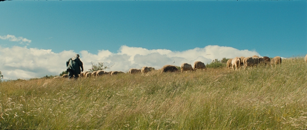 Modern Life 2009, directed by Raymond Depardon | Film review