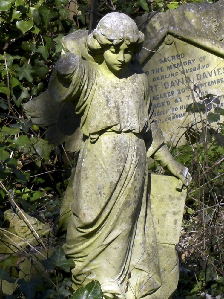 Filmmaker David Bond on Project Wild Thing – Time Out London