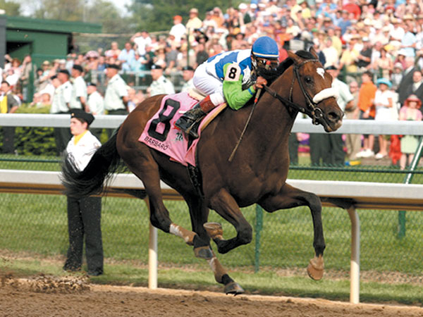 The First Saturday in May , directed by John Hennegan and Brad Hennegan ...