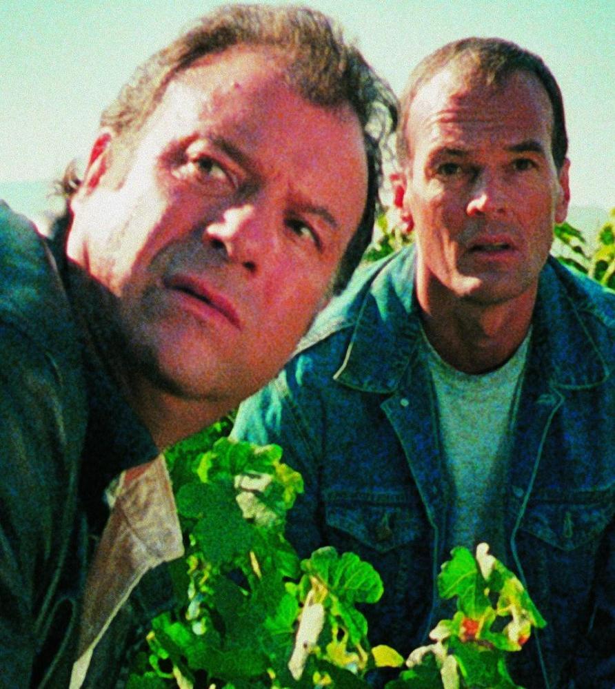 The Car Keys 2005, directed by Laurent Baffie | Film review