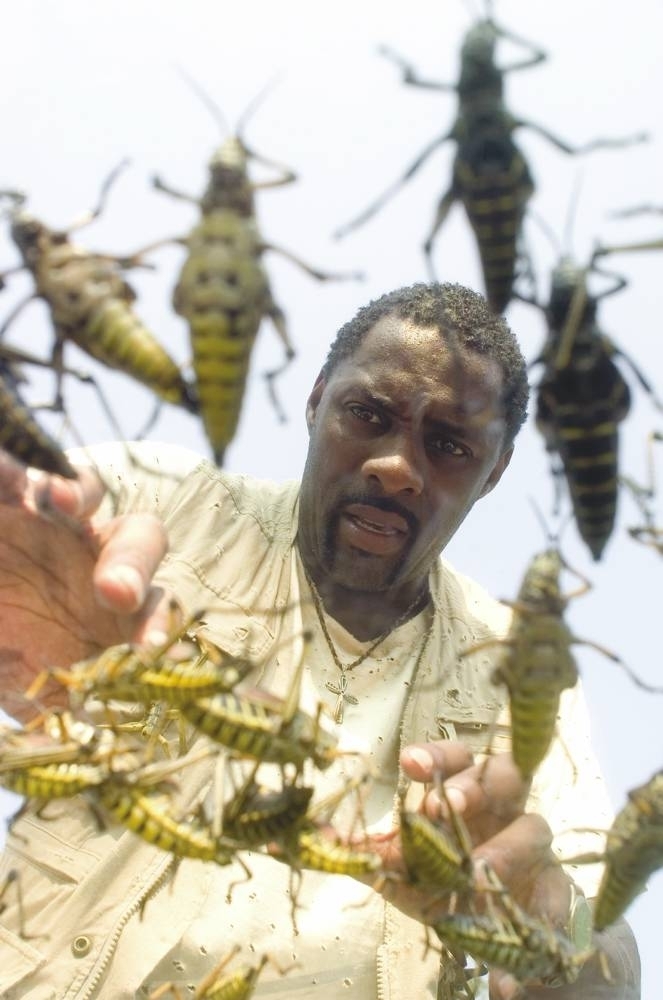 The Reaping 2007, directed by Stephen Hopkins | Film review