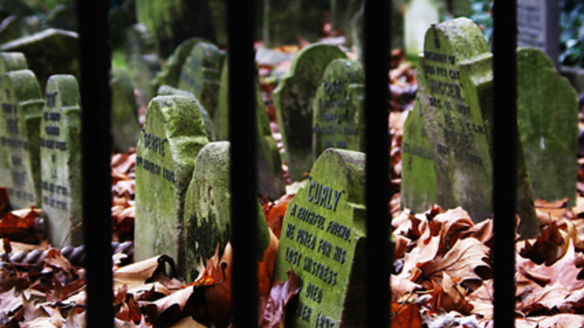 Most Haunted Places To Visit In London: 18 Seriously Spooky London Spots