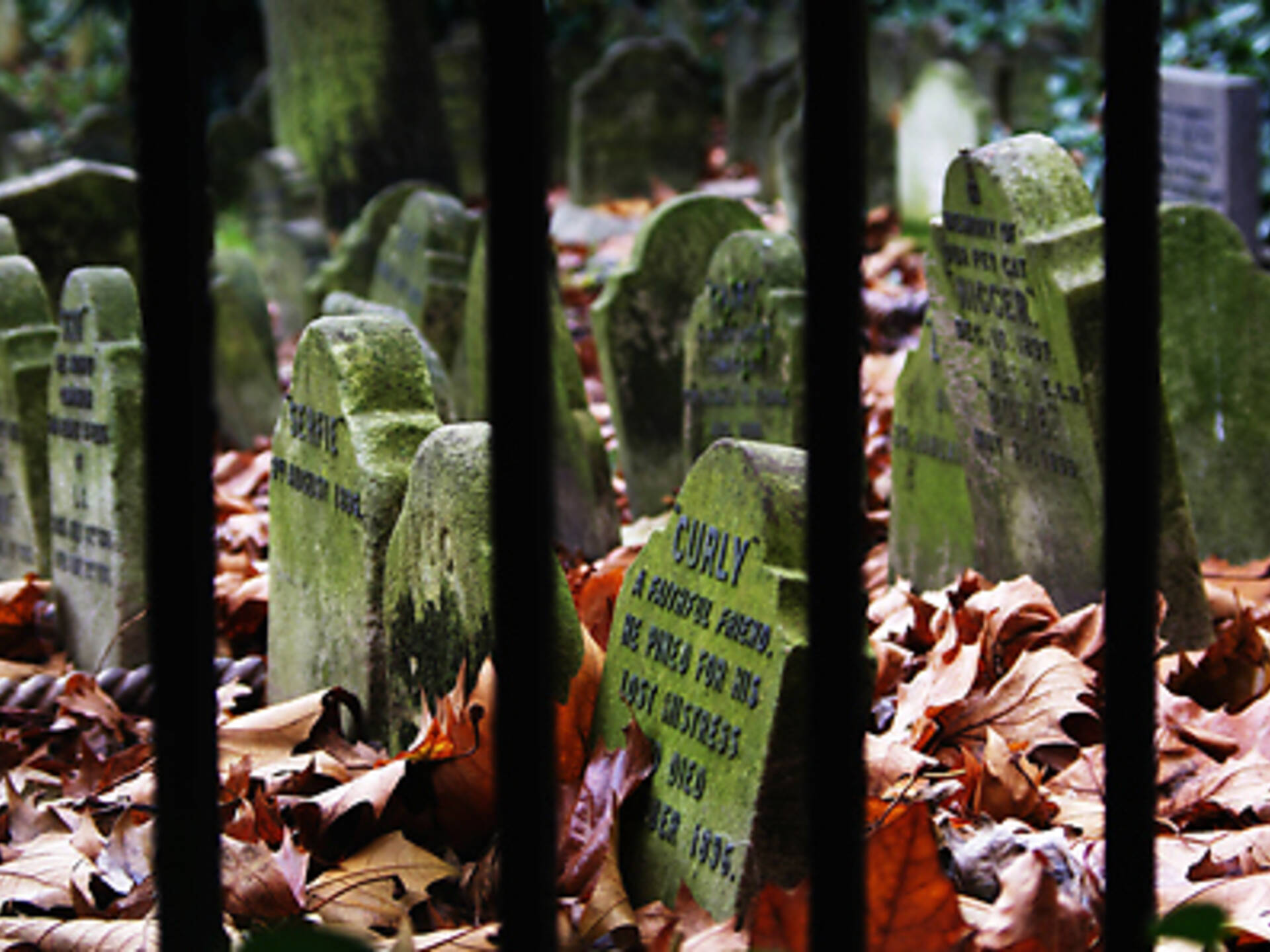Most Haunted Places To Visit In London: 18 Seriously Spooky London Spots