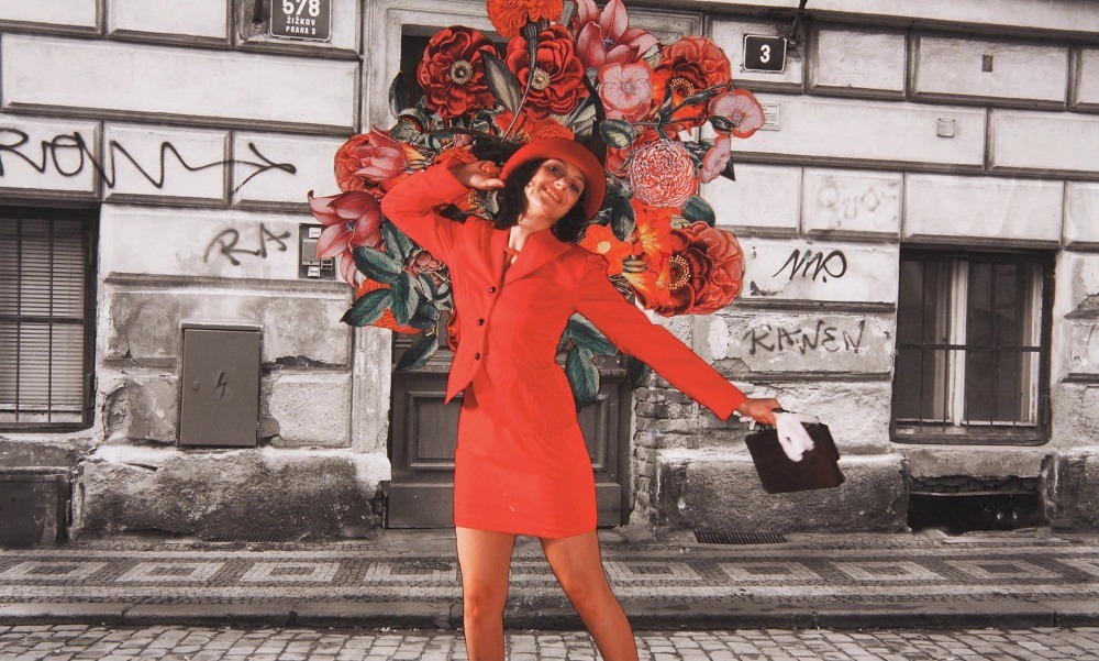 Surviving Life 2011, directed by Jan Svankmajer | Film review