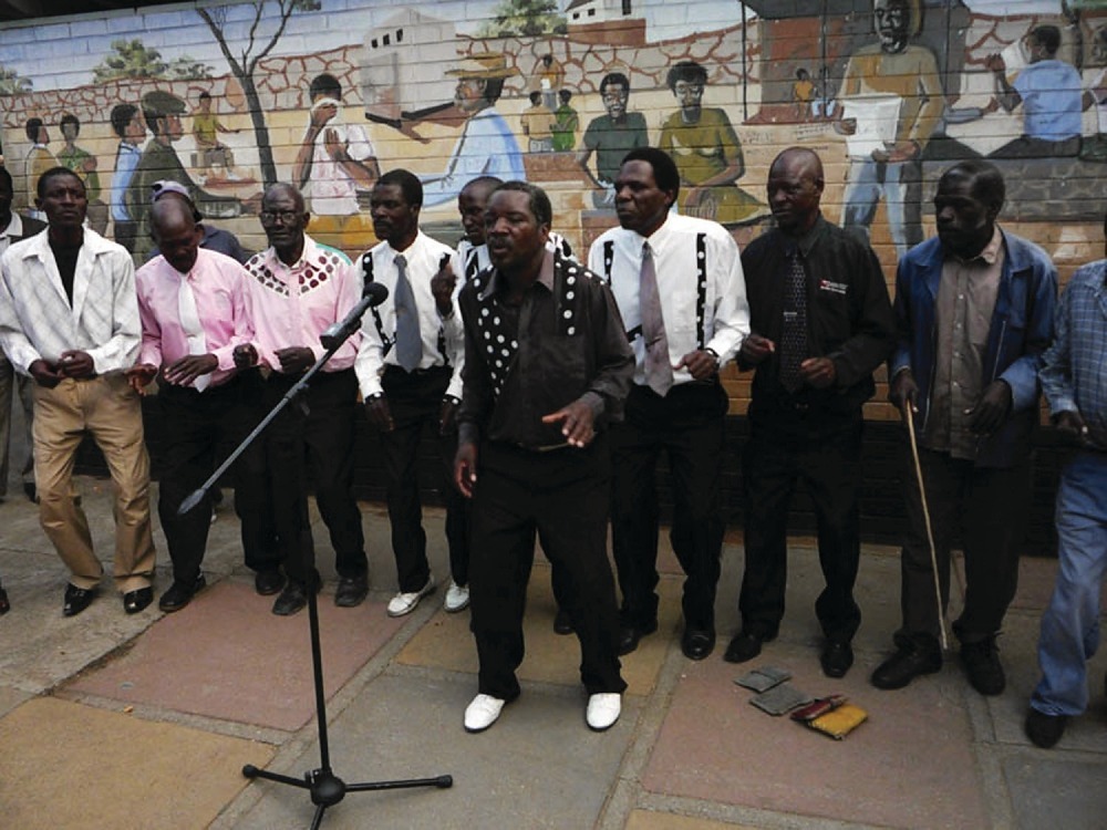 Shungu: The Resilience of a People 2010, directed by Saki Mafundikwa ...