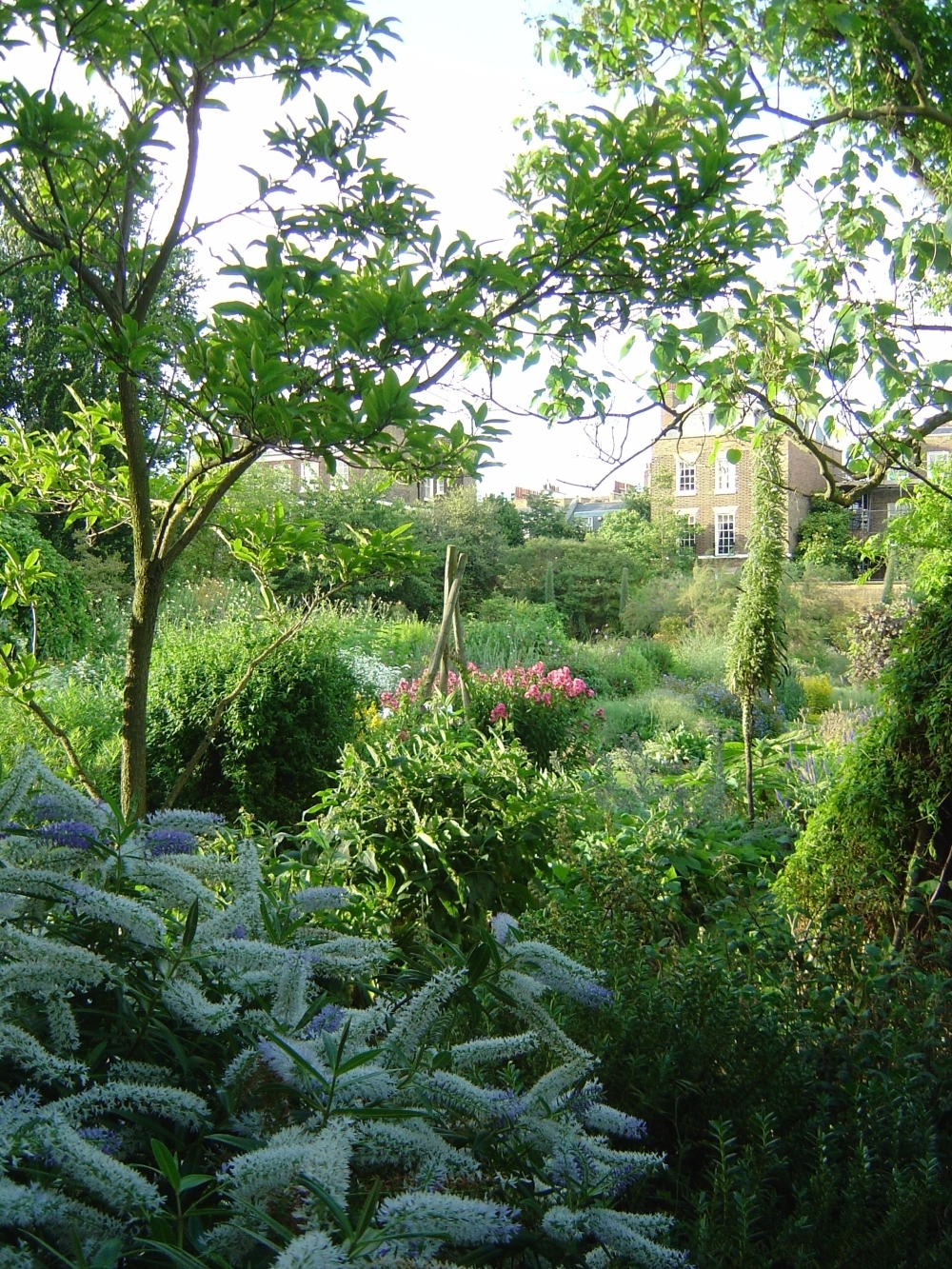 Compost Clinic | in London