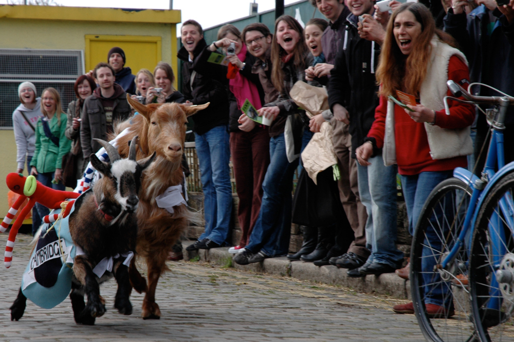 The Oxford v Cambridge Goat Race | in London