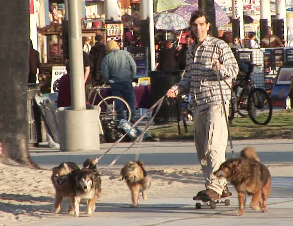 Donor Unknown 2011, directed by Jerry Rothwell | Film review