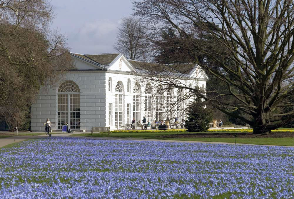 Start @ Kew | in London